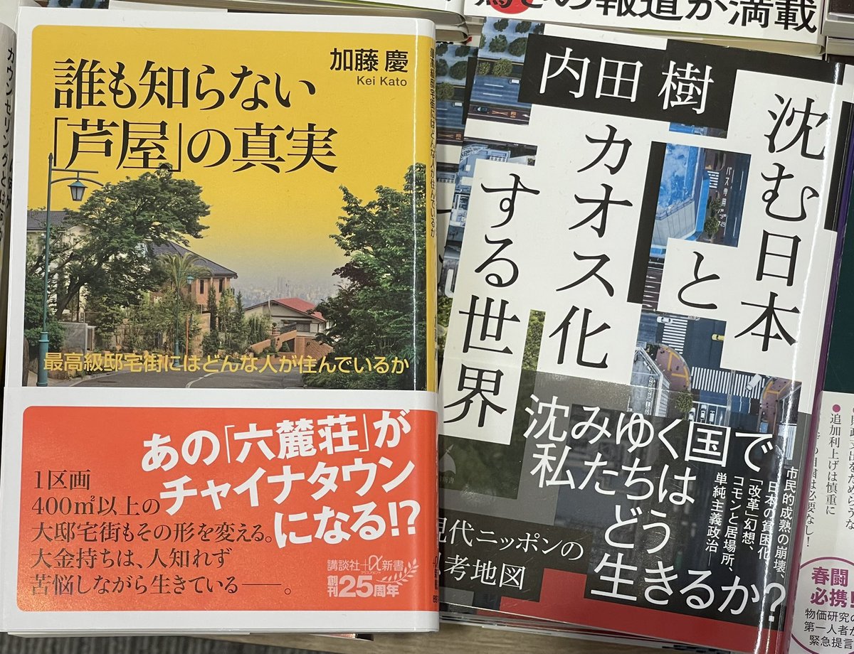 毛研究室にあるこの二冊をここ数日並行して読んでいる。一方は大局的な視点からの論述、もう一方は具体的な事例による解説で、まさに「麻雀雖小、五臓俱 8136