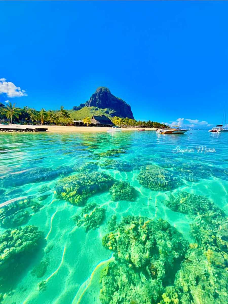 Hello February in Mauritius https://t.co/IG3jYv2see