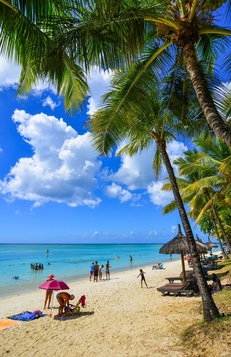 Hello February in Mauritius https://t.co/IG3jYv2see