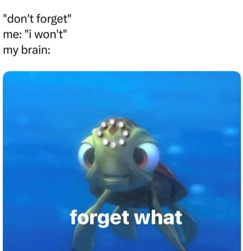 Finding Nemo Forget