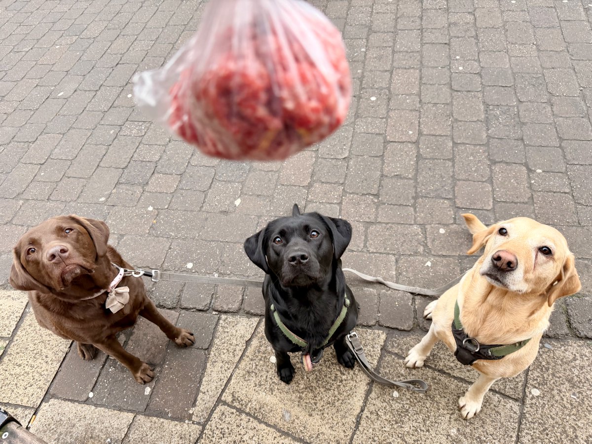 AS IT TURNS OUT the market butchers who I just bought two emergency ...
