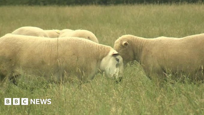 The Environment Agency wants foreigners to enjoy the countryside, maybe ...