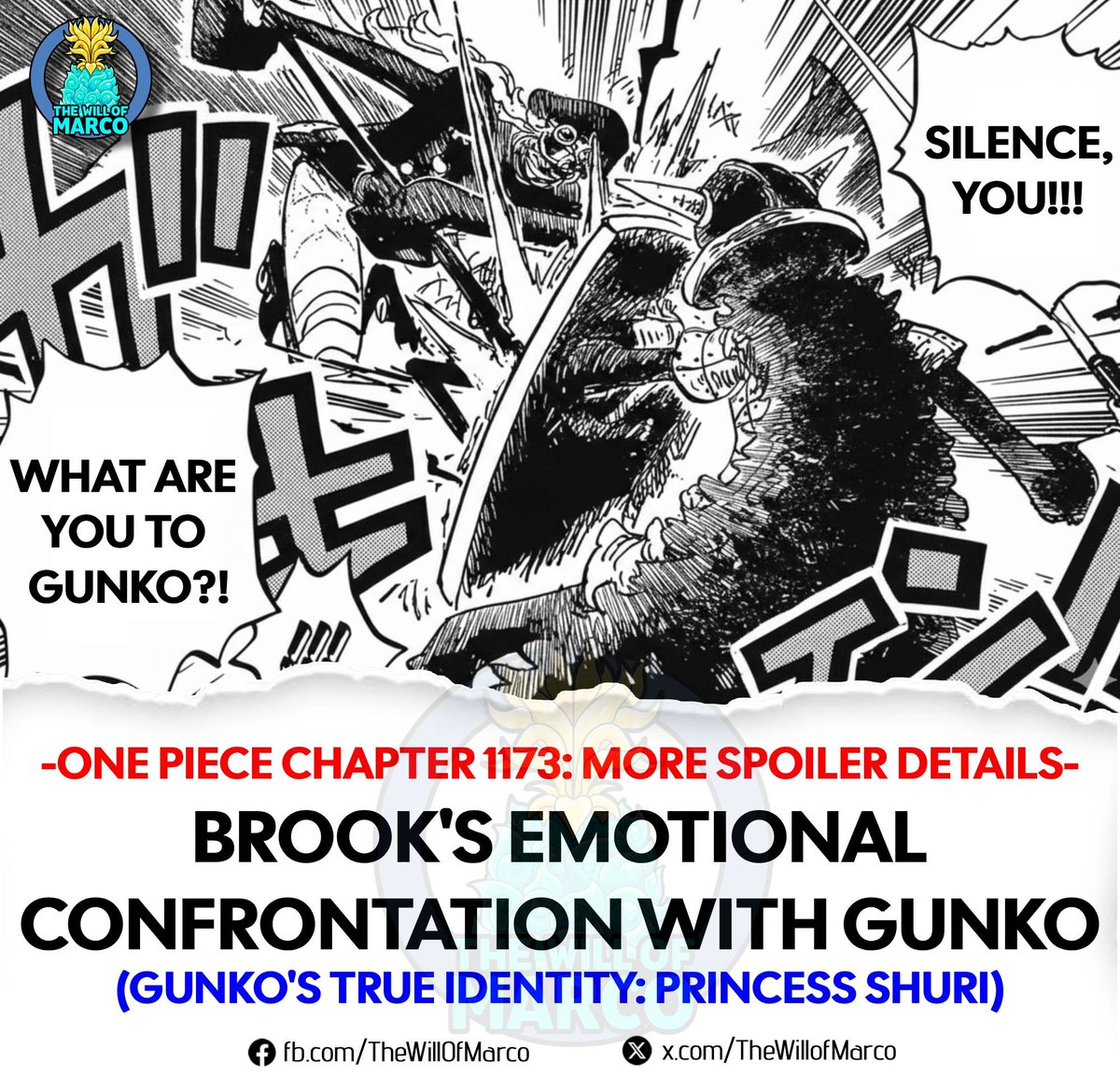⚠️ #ONEPIECE1173 : MORE SPOILER DETAILS ⚠️ 🔶The scene cuts to Brook. He ...