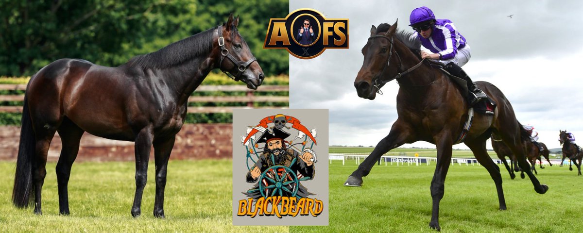THE FIRST BLACKBEARDS NAMED The first 14 2 Year Old's by multiple G1 ...