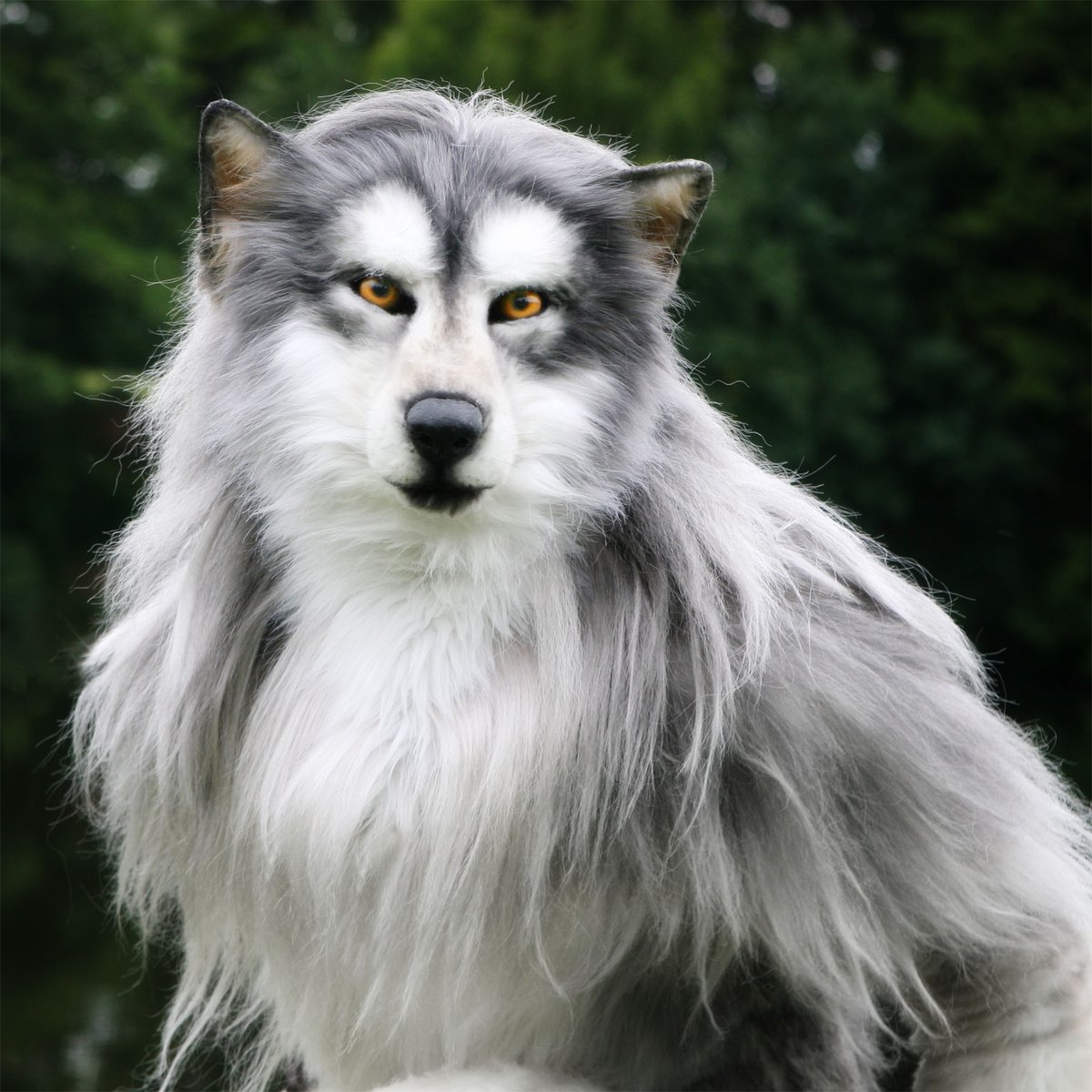 EZ Wolf (@EZ_wolf) / Posts / X