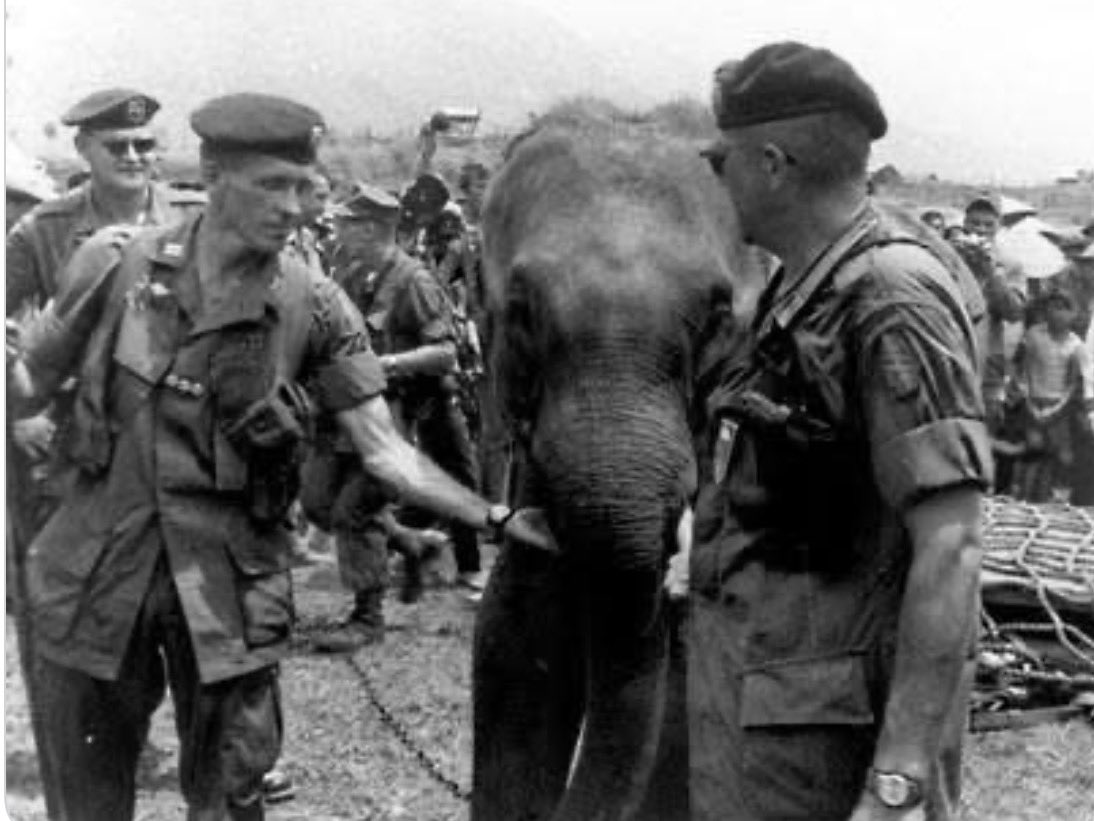 The REAL , Operation DUMBO DROP🇺🇸 CPT John Gantt, S-5 Psyops HQs 5th ...