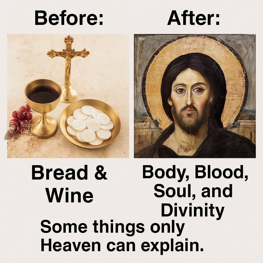 Or… transubstantiation is a blatant lie that cannot be supported ...