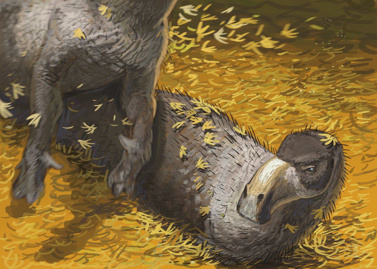 Results from the #paleostream! Borealopelta, Haolong, Moschorhinus and ...