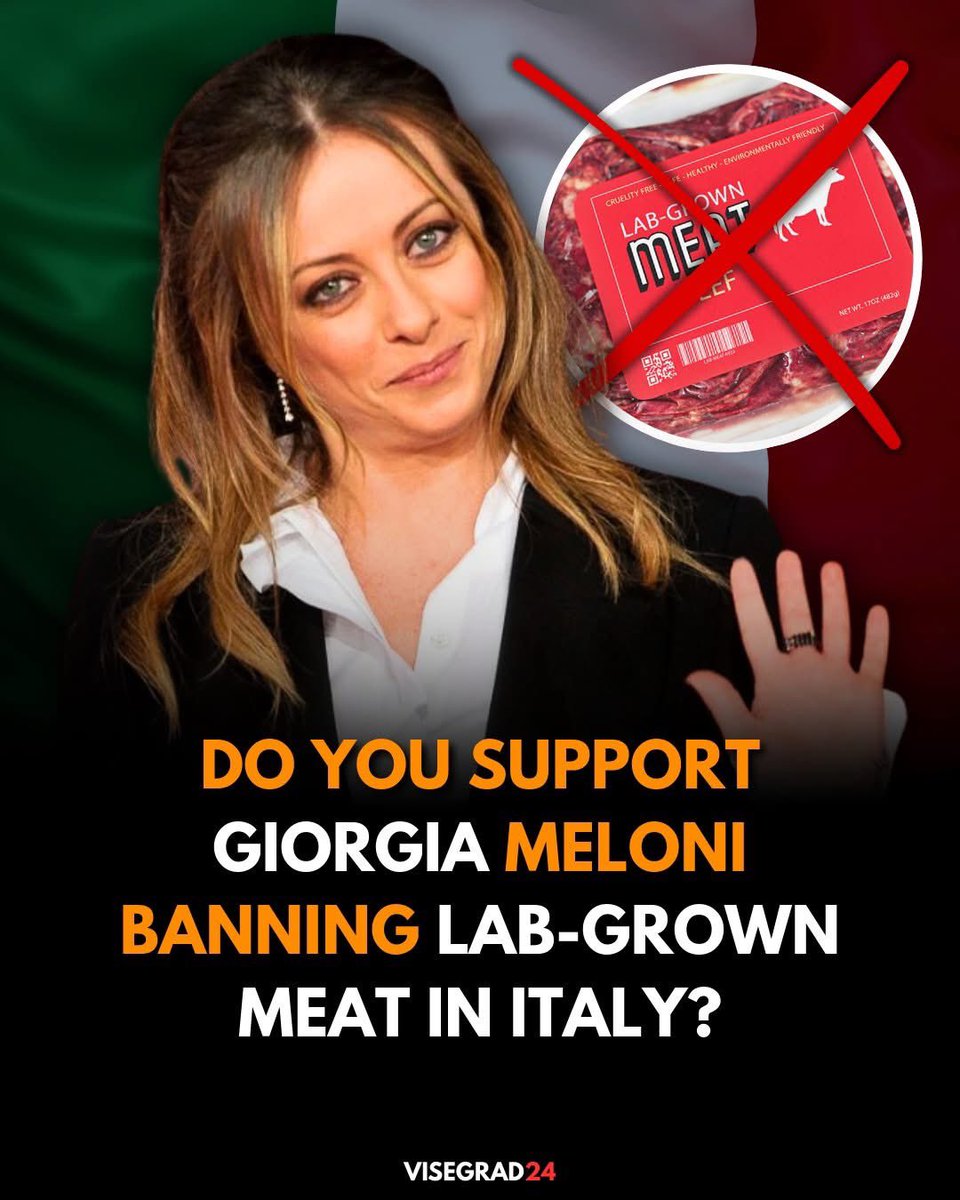 Giorgia Meloni's government has prohibited the production, sale ...