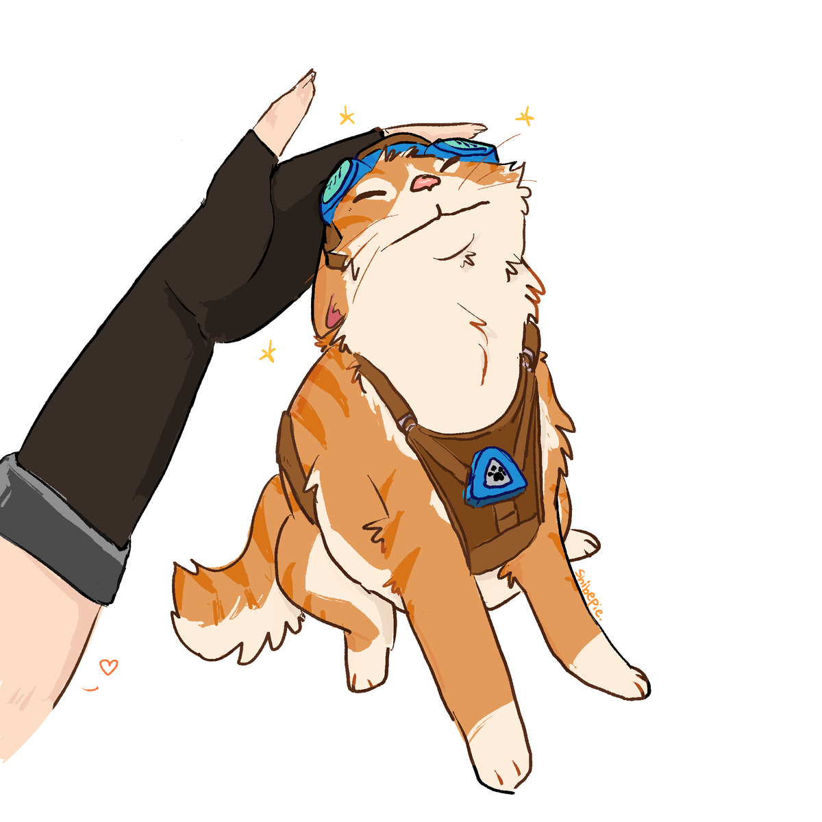 good luck to all my teammates tomorrow, i'll be like meow meow meow ...