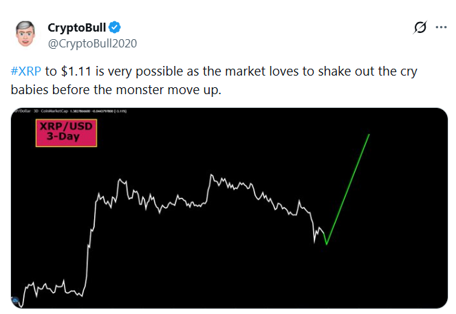 #XRP to $1.11 Is Very Possible as Market “Shakes Out the Cry Babies ...