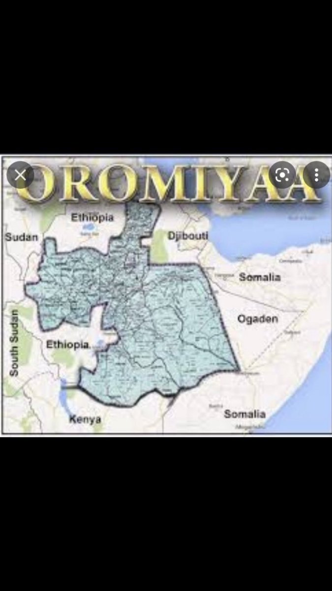 The large influx of OLA fighters from the Oromia Region into Metekel is ...