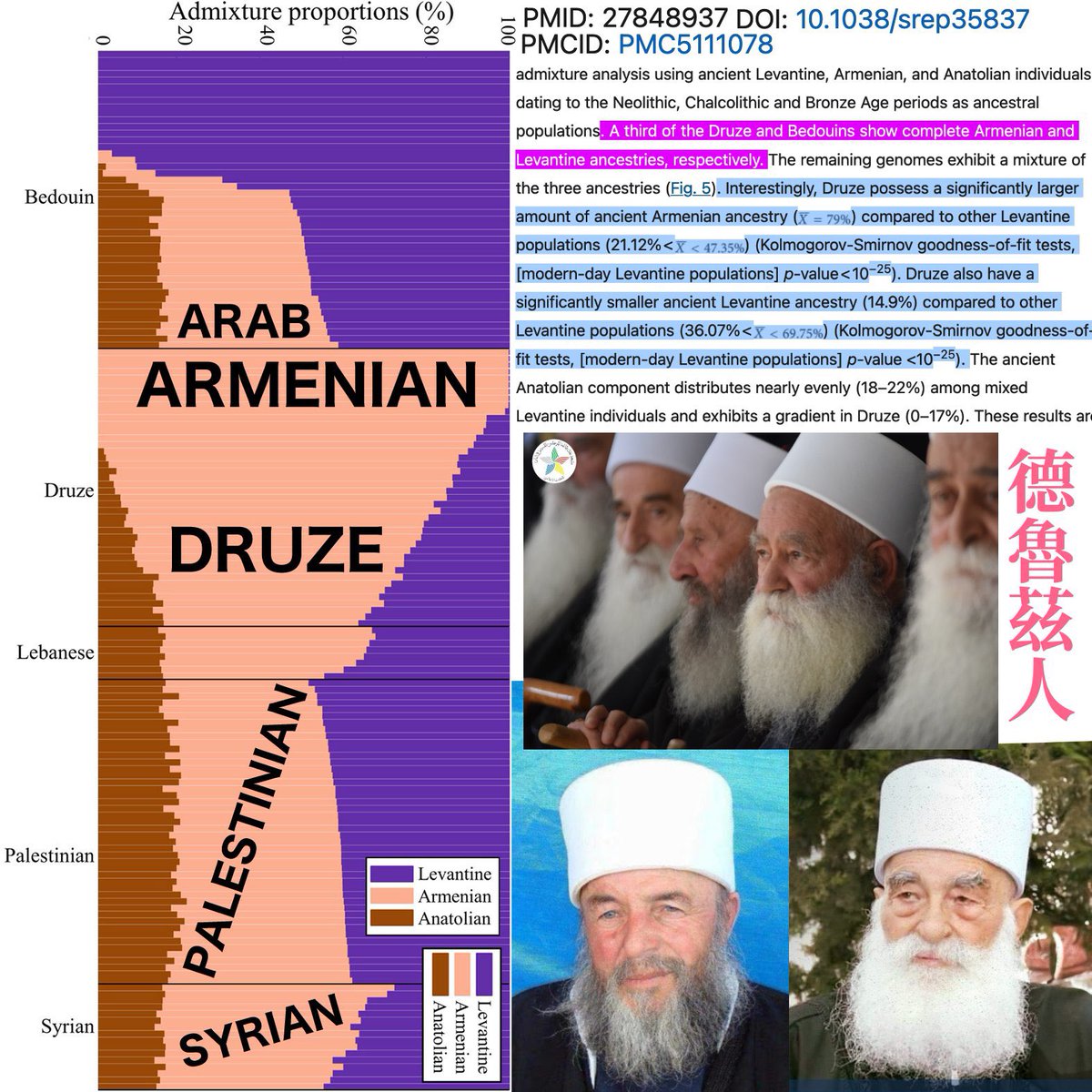 The Druze are a native Levantine population, but they show a higher ...