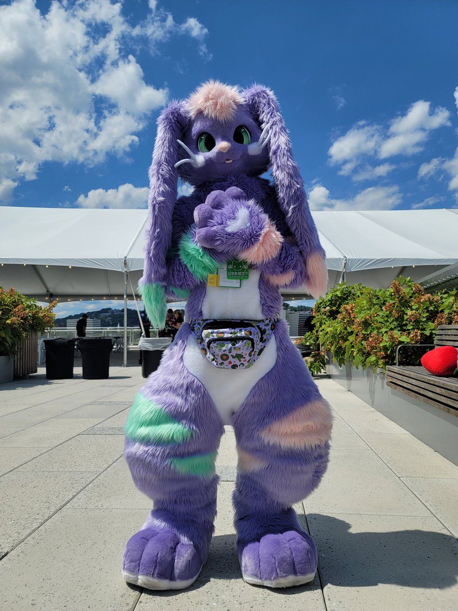 Bowie Bun (🐰) (@ItsBowieBun) / Posts / X