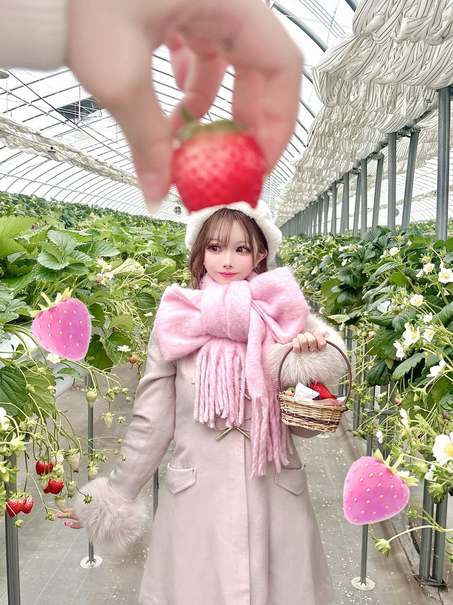 にょき (@nyoki_cos_) / Posts / X