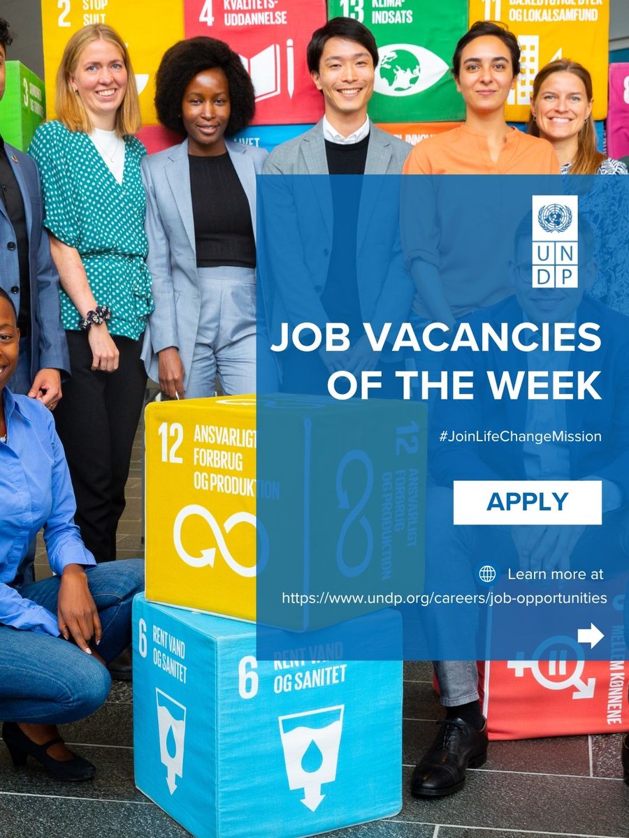 ️17 positions are now open at UNDP in the field of Effective Governance ...