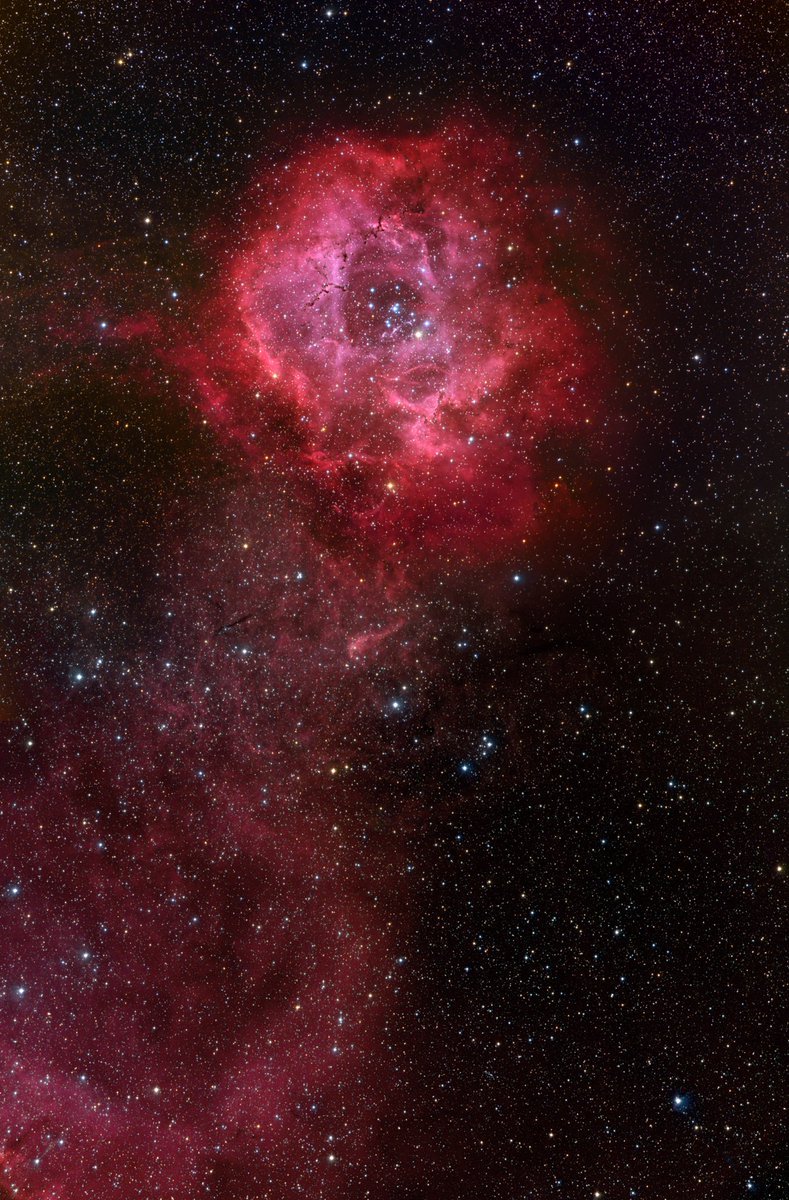 The Long-Stemmed Rosette Nebula (NGC 2237) Distance: 5,000 light-years ...