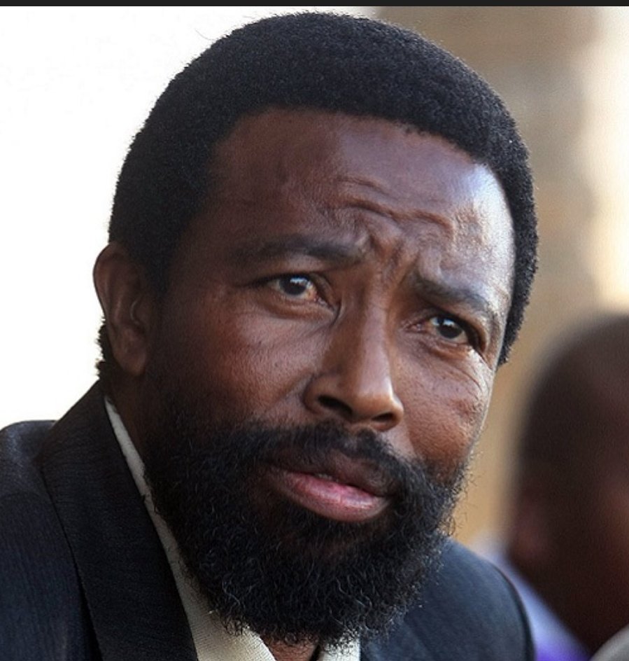 King Dalindyebo Attempts to Dethrone Mandla Mandela Over Gaza Stance A ...