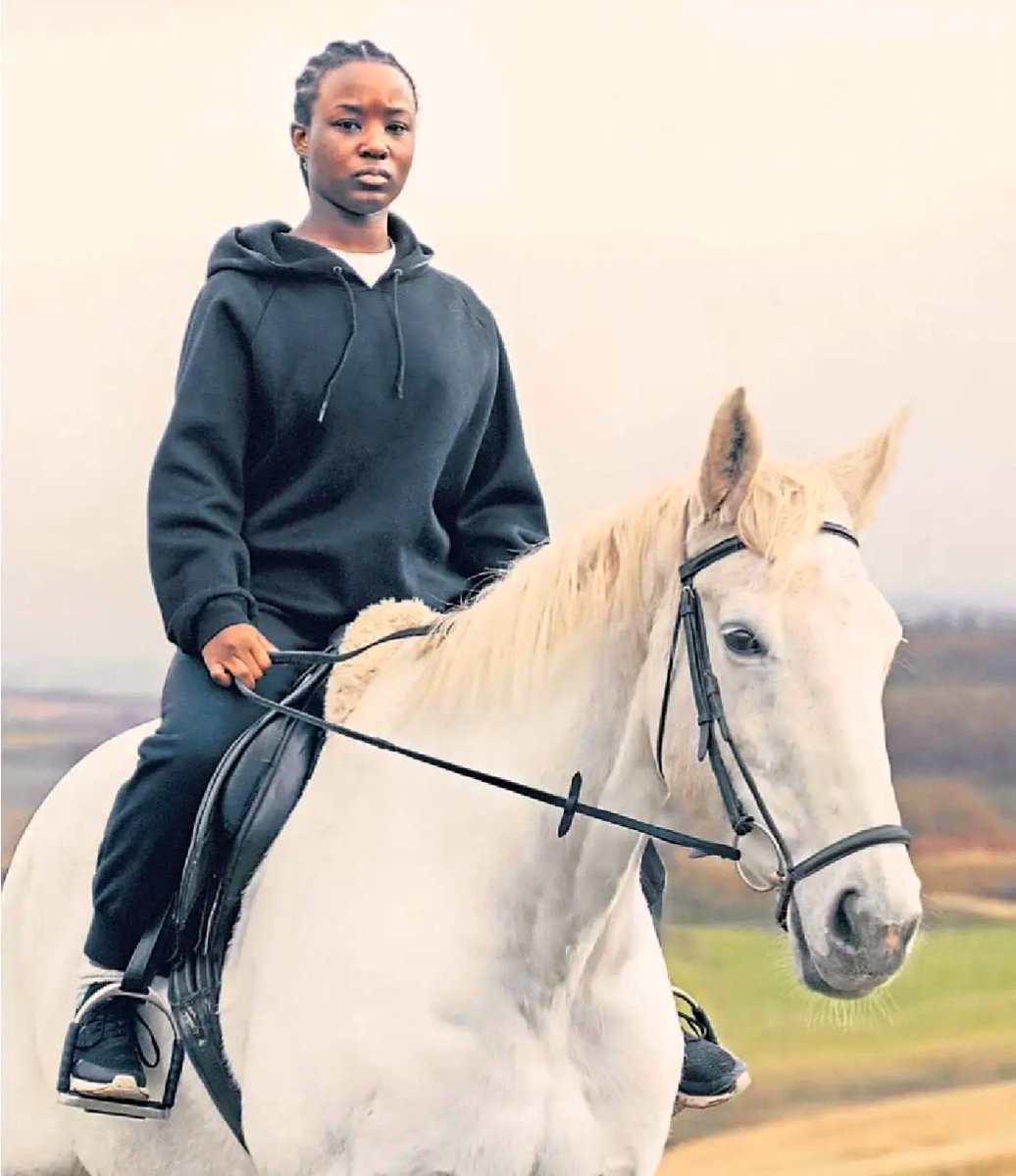 @EndWokeness At least they kept the horse White?