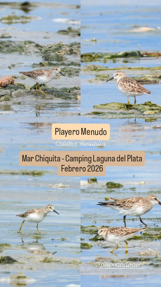 Reporte de viaje por PN Ansenuza, foto del Playero Menor y selfie de ...