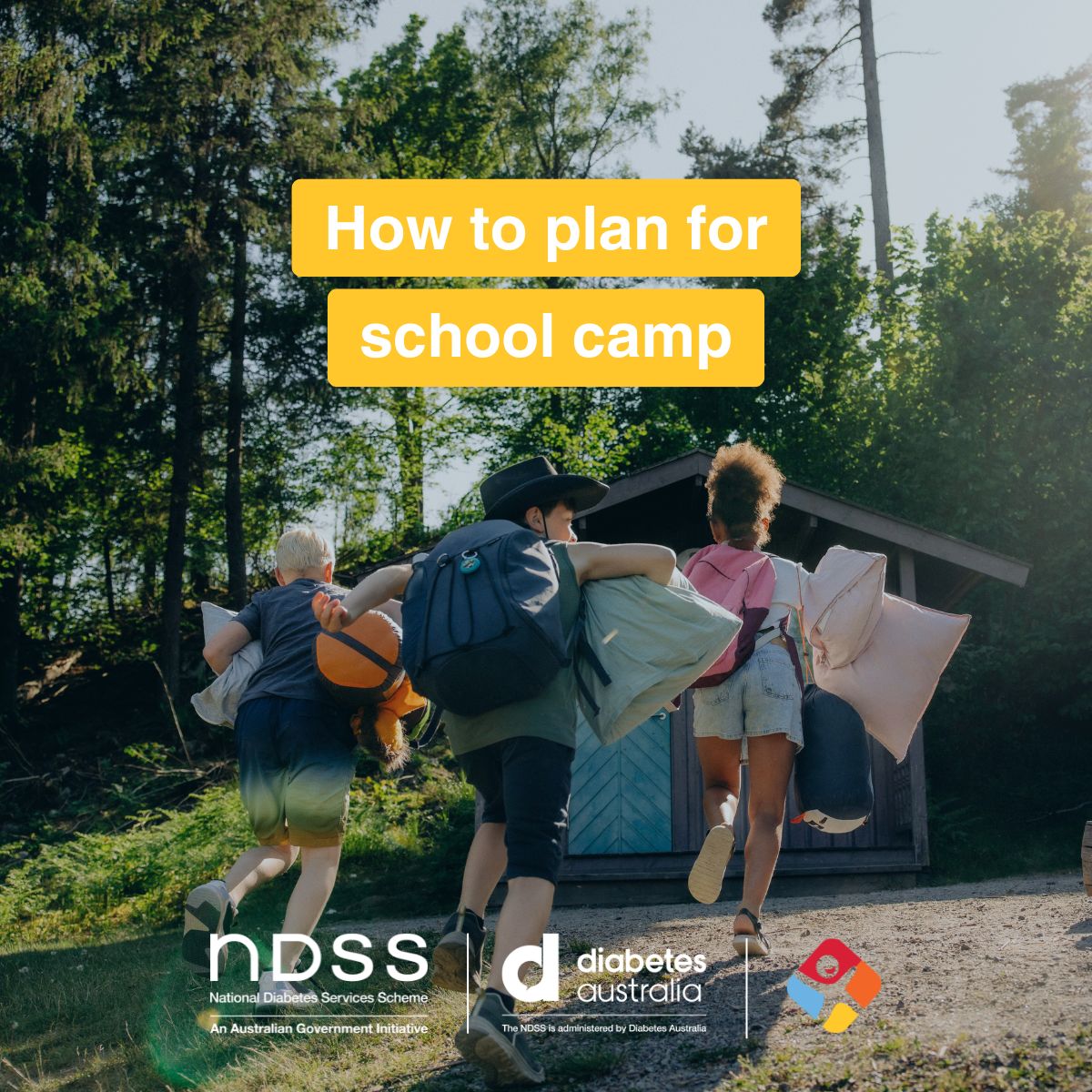 NDSS (@NDSS_AUS) / Posts / X