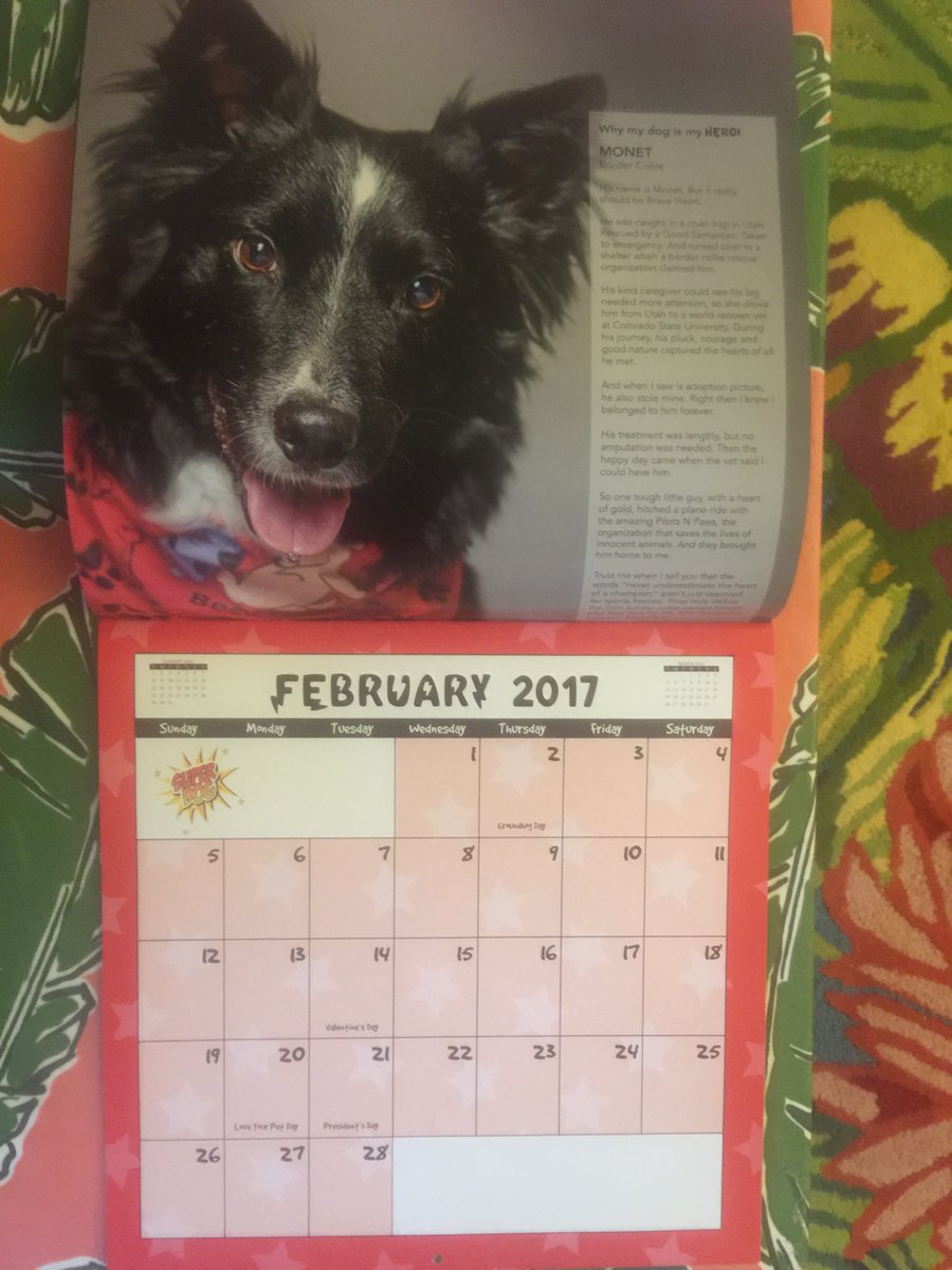 @BillieJeanKing My Monet! An incredible rescue doggo who can read my ...