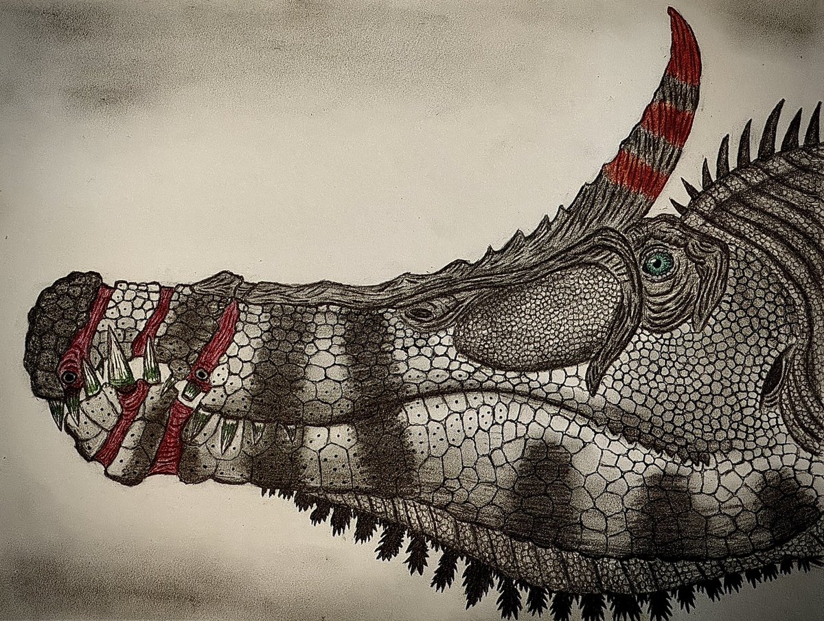 The Scimitar Spine Lizard (Spinosaurus mirabilis)
