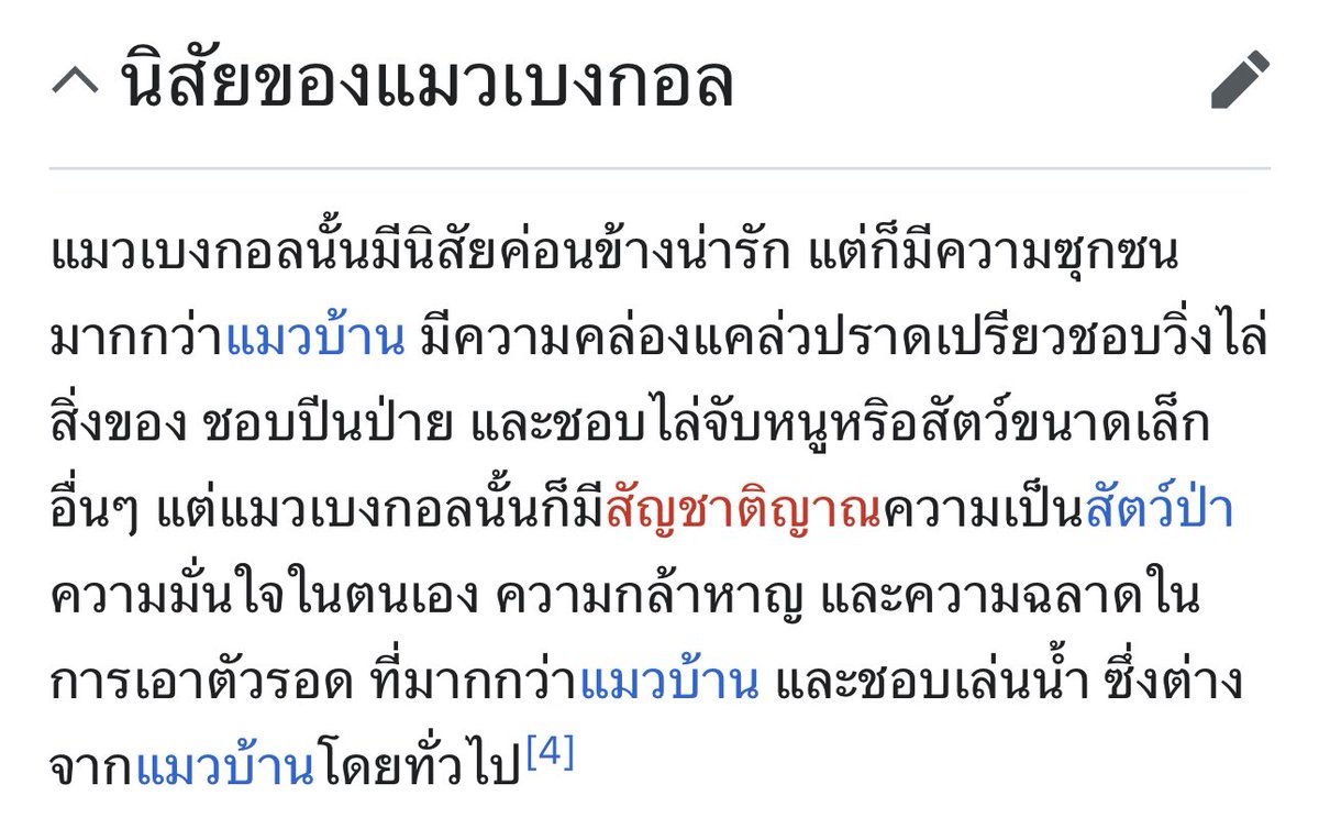 อาร์ตเป็นแมวเบงกอลแล้วนิสัยน้องคือพี่โมะมากอะ 55555555เอ็นดู🥹🐾