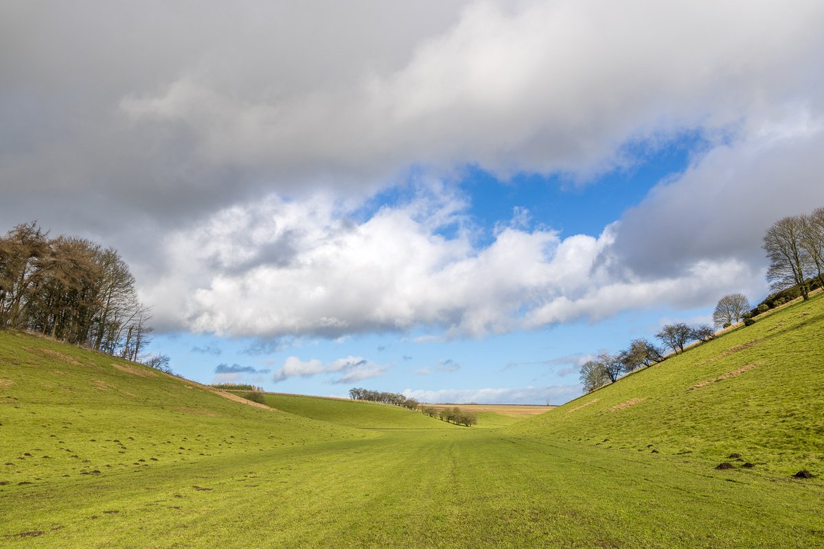Dry chalk valleys of the Yorkshire Wolds on today's walk from Huggate
