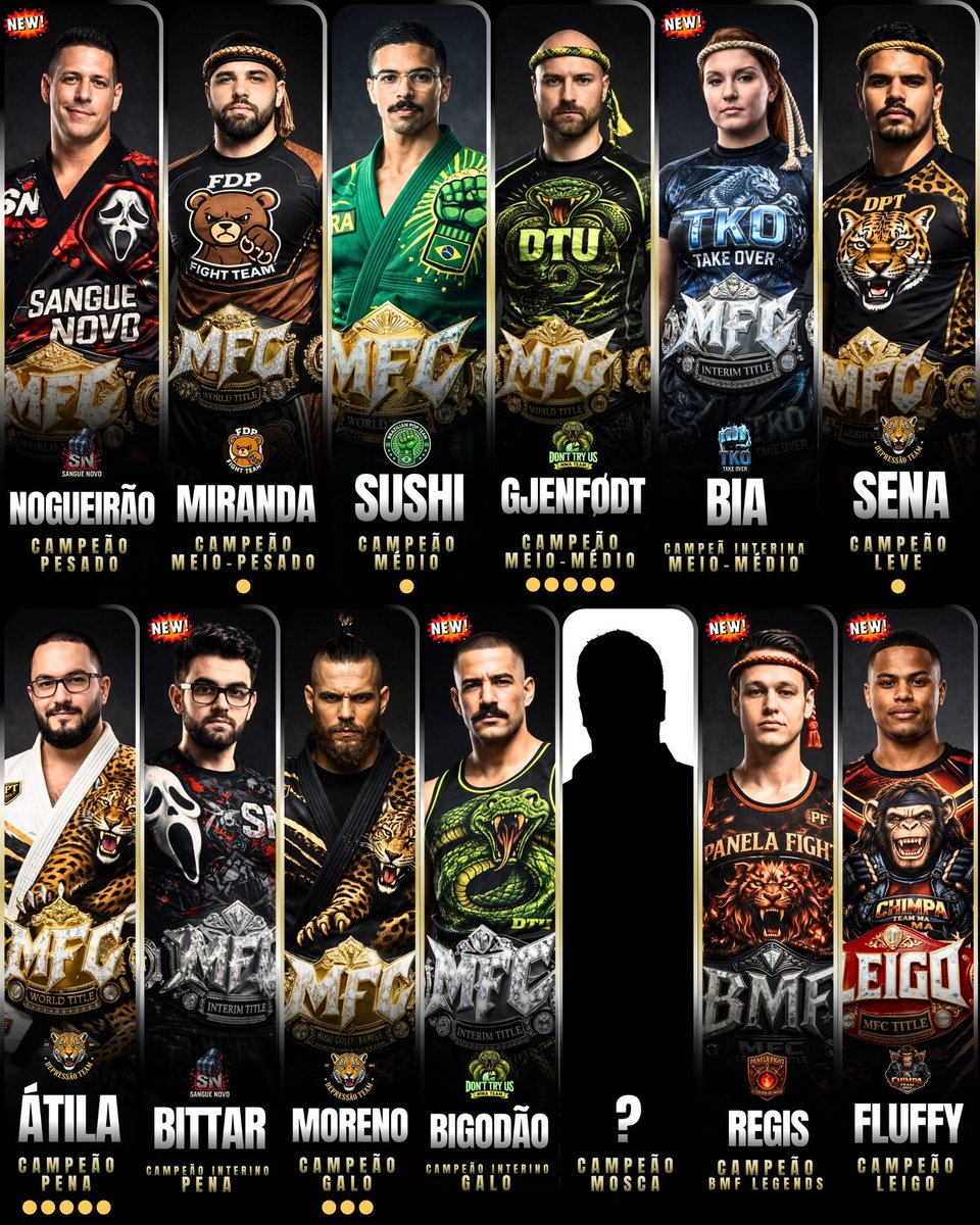 MMA Melotto (@MMAmelotto) / Posts / X