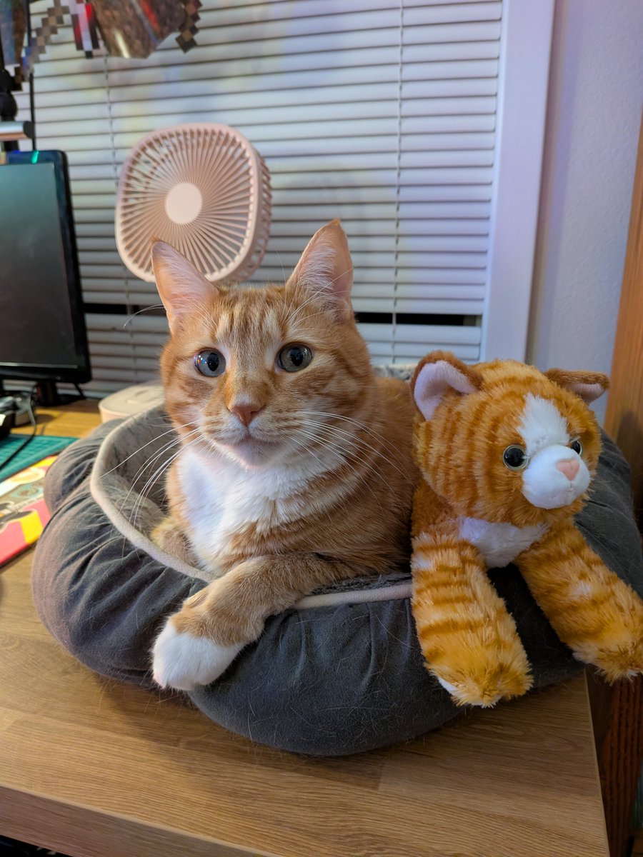 Mogswamp (@Mogswamp) / Posts / X