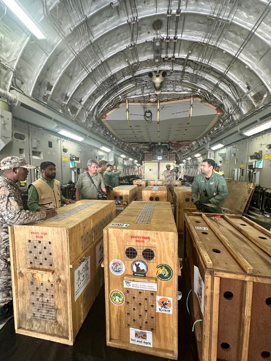 Transcontinental relocation of cheetahs from Botswana to India. An #IAF ...