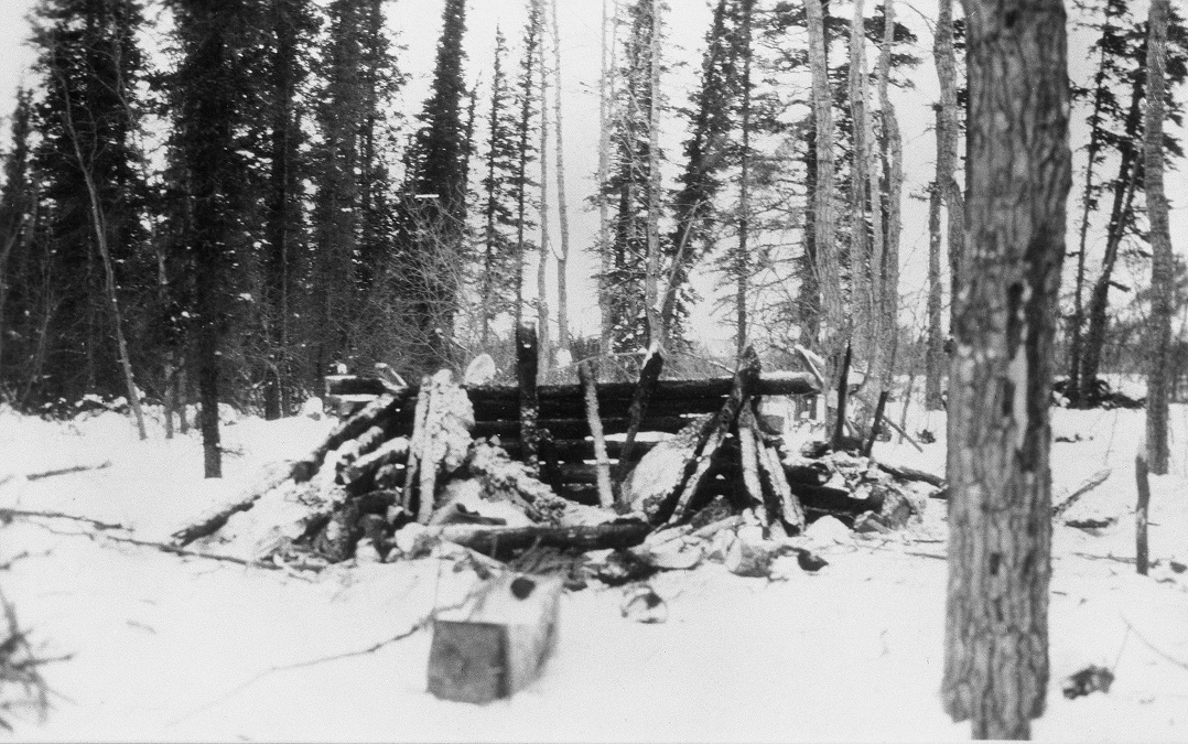 The Silent Killer Who Mocked the Arctic: One Man's Impossible Escape ...