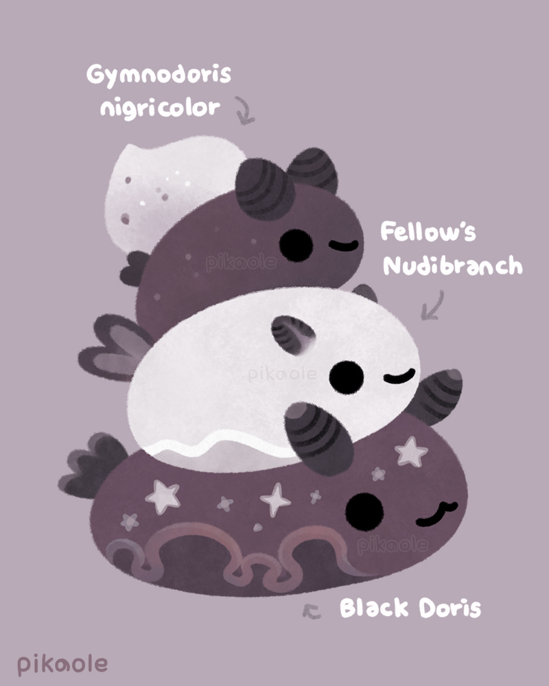 pikaole (@pikaole) / Posts / X