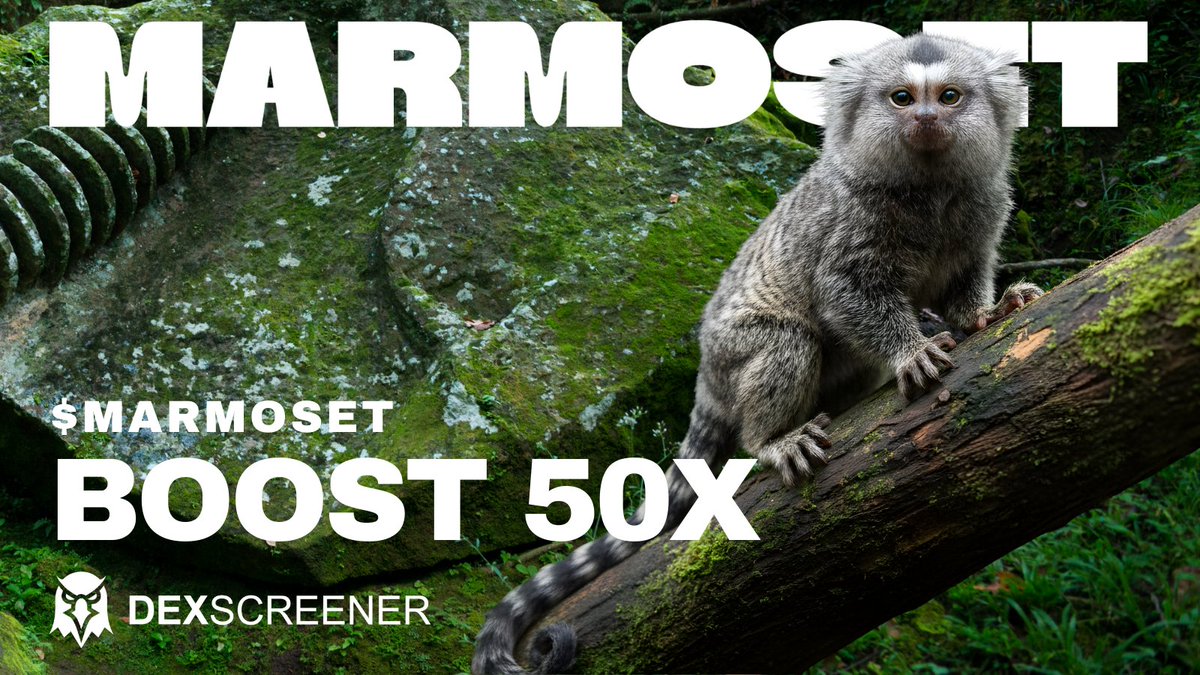 Marmoset (@its_marmoset) / Posts / X