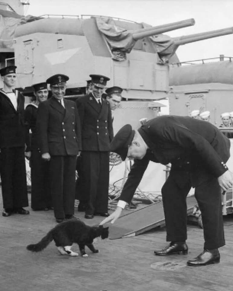 This is Unsinkable Sam aka Oscar, a cat that served with the ...