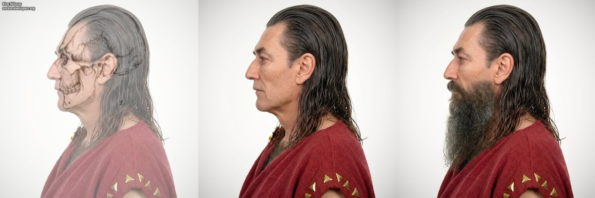 Facial reconstruction of Skilurus (c. 200 BC), King of the Crimean ...