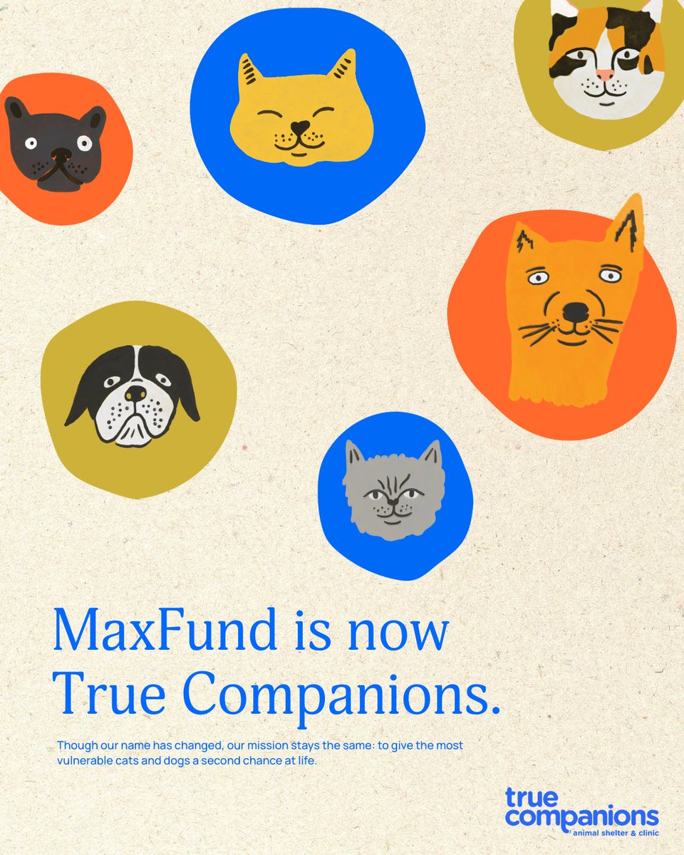 True Companions Animal Shelter & Clinic (@truecompanions_) / Posts / X