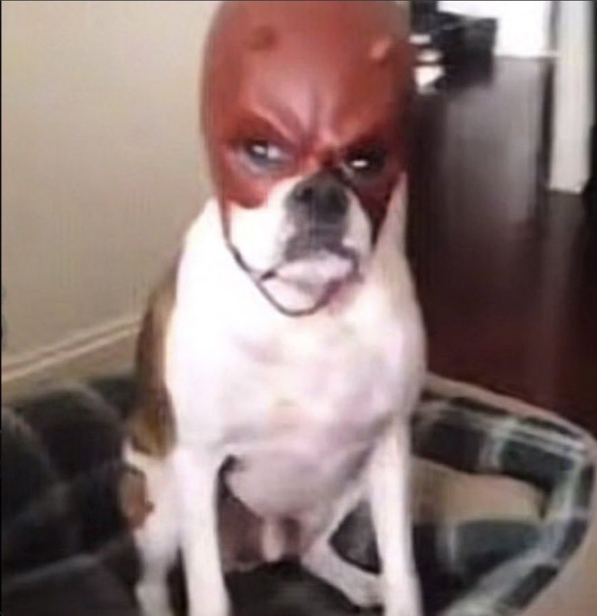 @dohertyjackk
