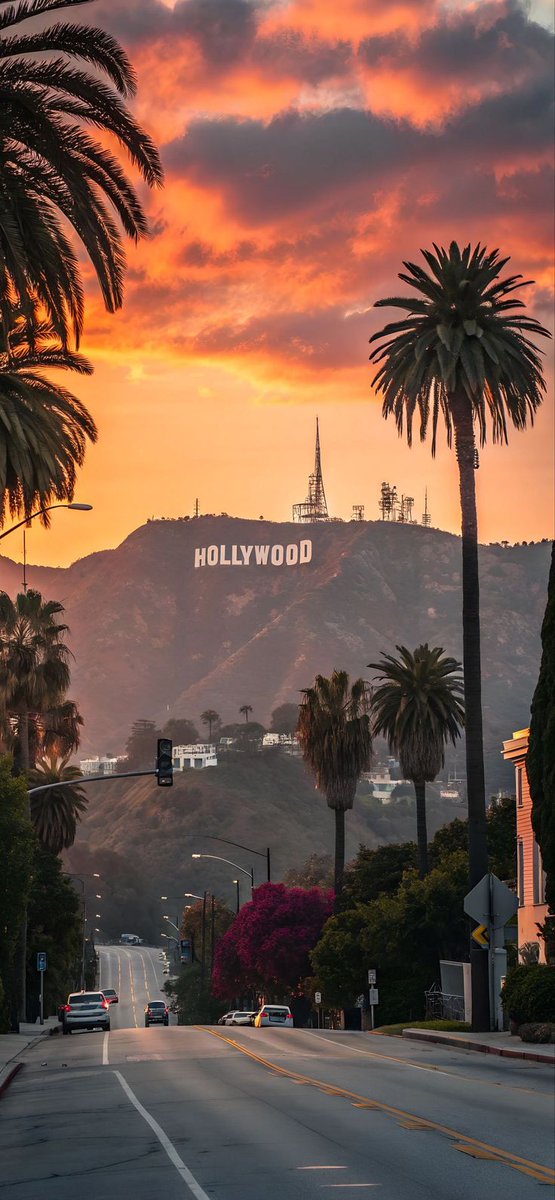 Hollywood Hills Los Angeles Usa 🇺🇸