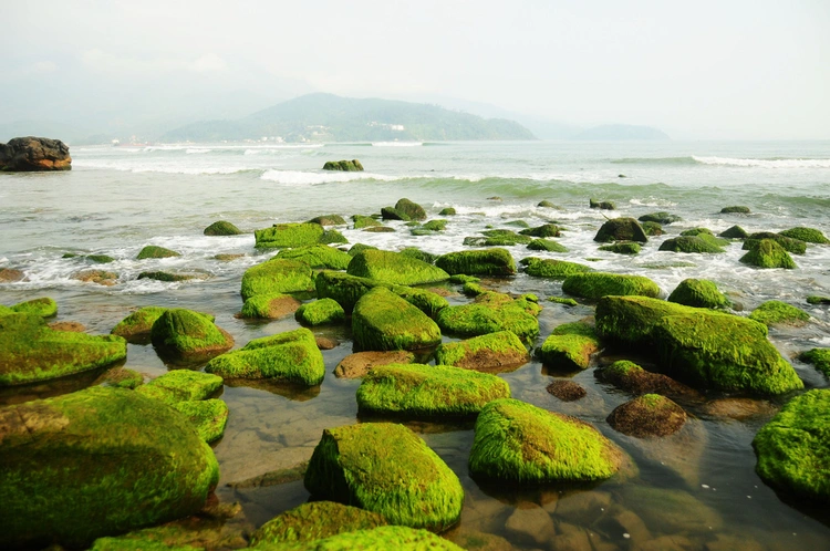 What the beach can teach us about vascular health: Have you noticed ...