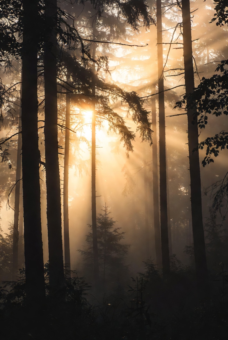 الكحال تاليا 🦋🍑🌙 (@RodgerW97154) / Posts / X