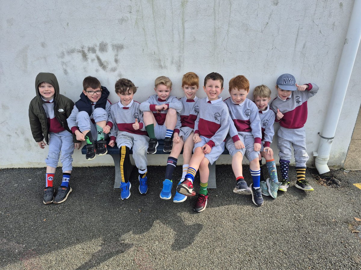 Scoil Cholmcille, Skryne (@SkryneSchool) / Posts / X