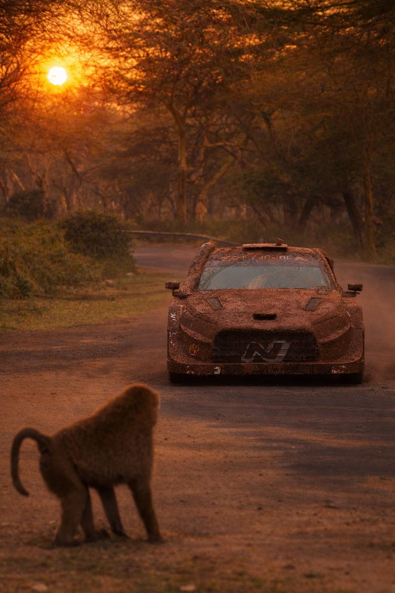 Hyundai Motorsport (@HMSGOfficial) / Posts / X