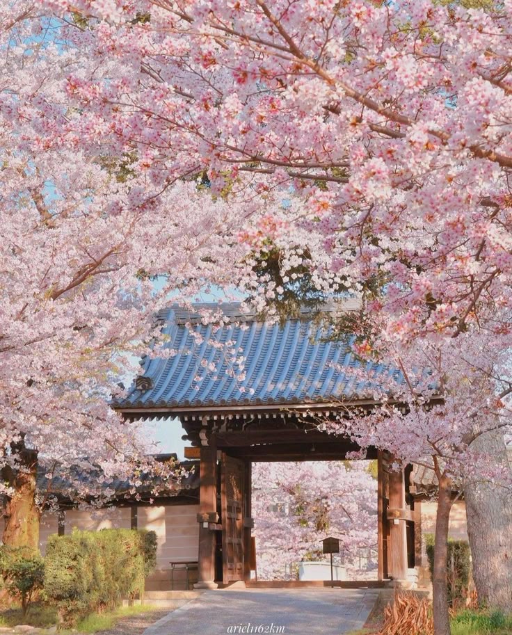 🪴🌷🌷For even though the fig tree doesn't flourish, nor fruit be in the ...
