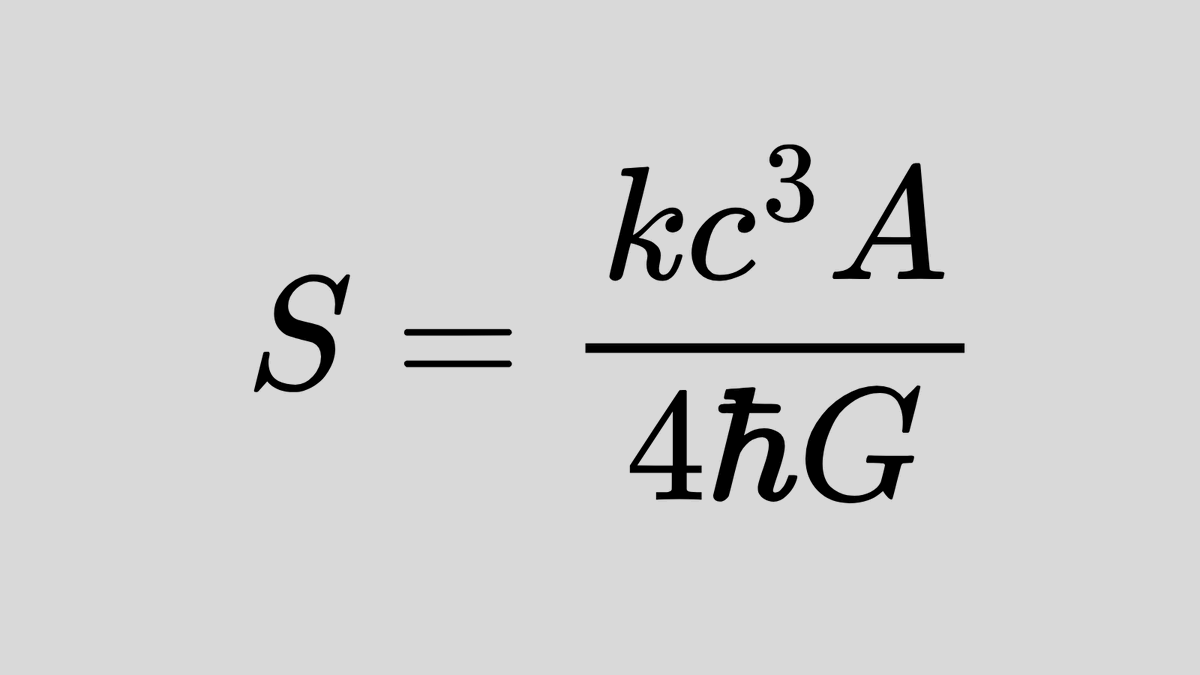 The Black hole entropy means that the hidden information or disorder ...