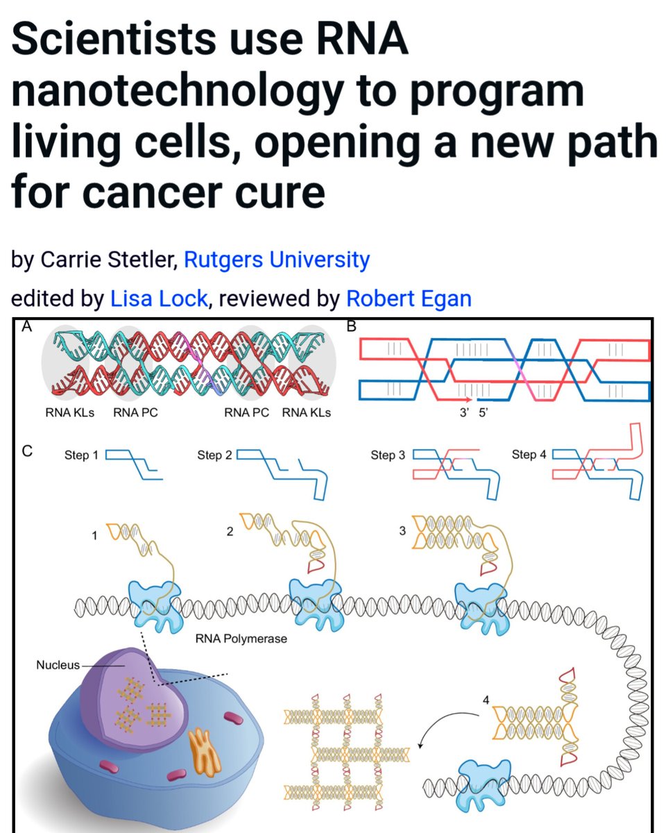 Reminder Scientists have developed a new way to program living cells ...