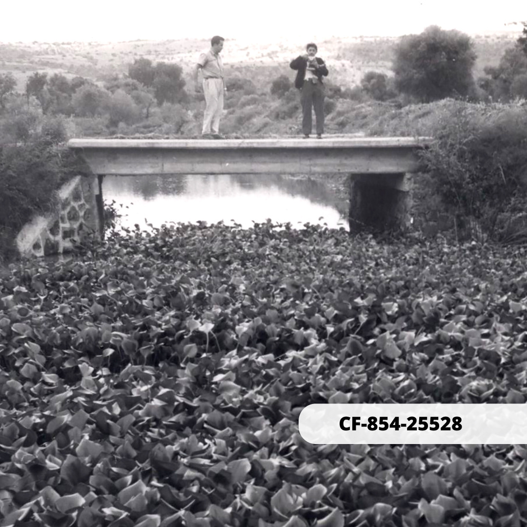 En la foto de nuestro Archivo Histórico te mostramos parte del canal ...