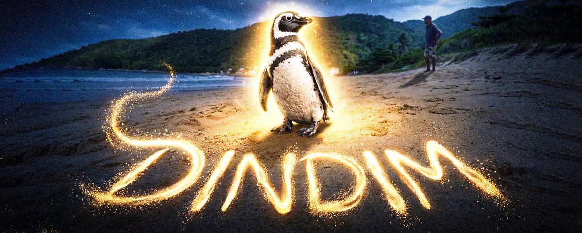 This story of "the most loyal" penguin is blowing up! "Dindim" was ...