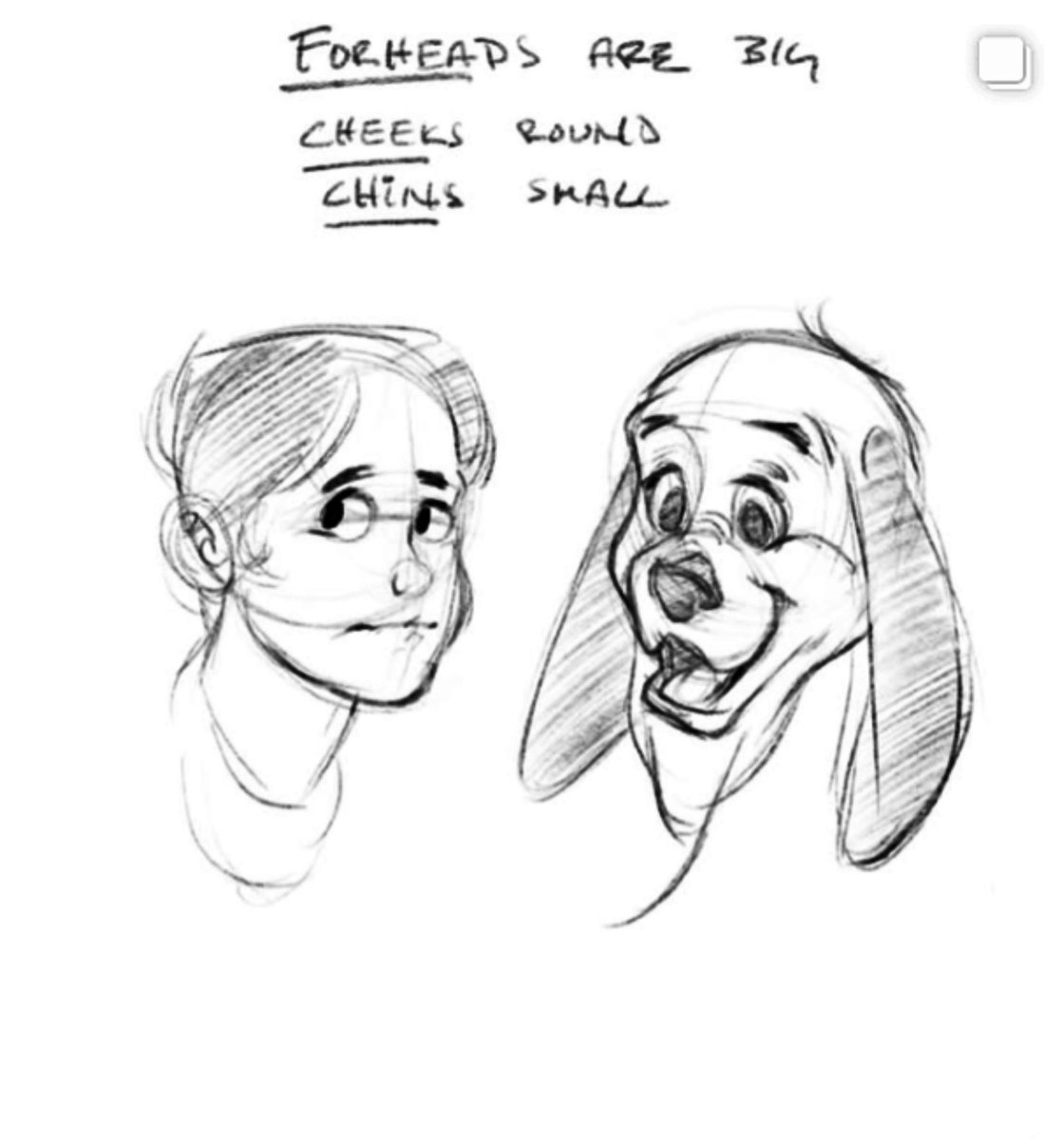 去年のGlenn VilppuのAnimal Drawing SeminarのQ&Aで、誰かが子犬や他の子動物の描き方について質問しました ...